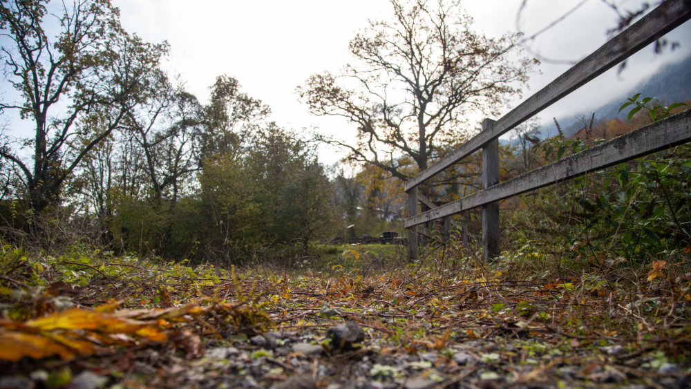 Nature :: Commune de Collombey-Muraz :: Valais :: Suisse
