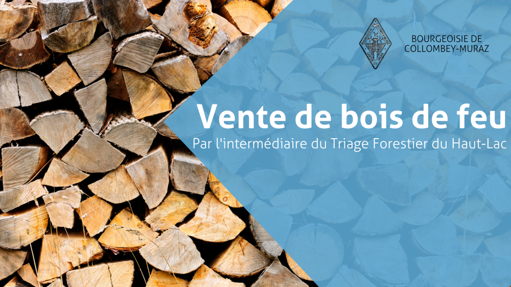 VENTE DE BOIS DE FEU :: Commune de Collombey-Muraz :: Valais :: Suisse