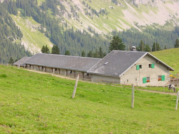 A la découverte de nos alpages :: Commune de Collombey-Muraz :: Valais ...