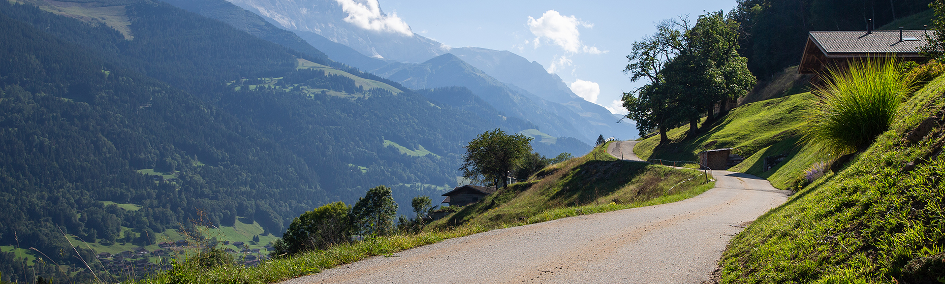 Collombey-Muraz :: Commune de Collombey-Muraz :: Valais :: Suisse
